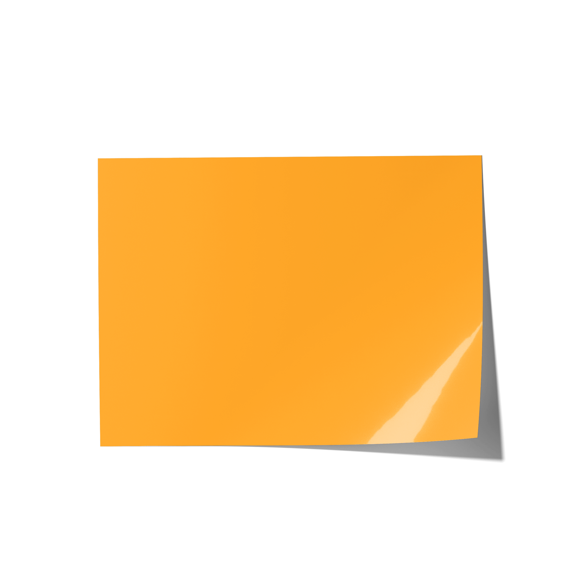 Solid Orange Backdrops – Propsyland